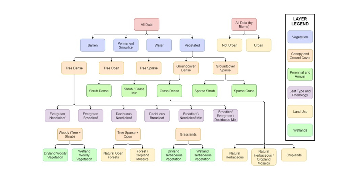 How Affinity Mapping Can Assist in UX Research? - Affinity Mapping UX