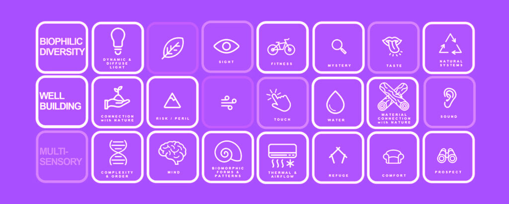 Why Multisensory Designs Create Memorable Experiences for Users